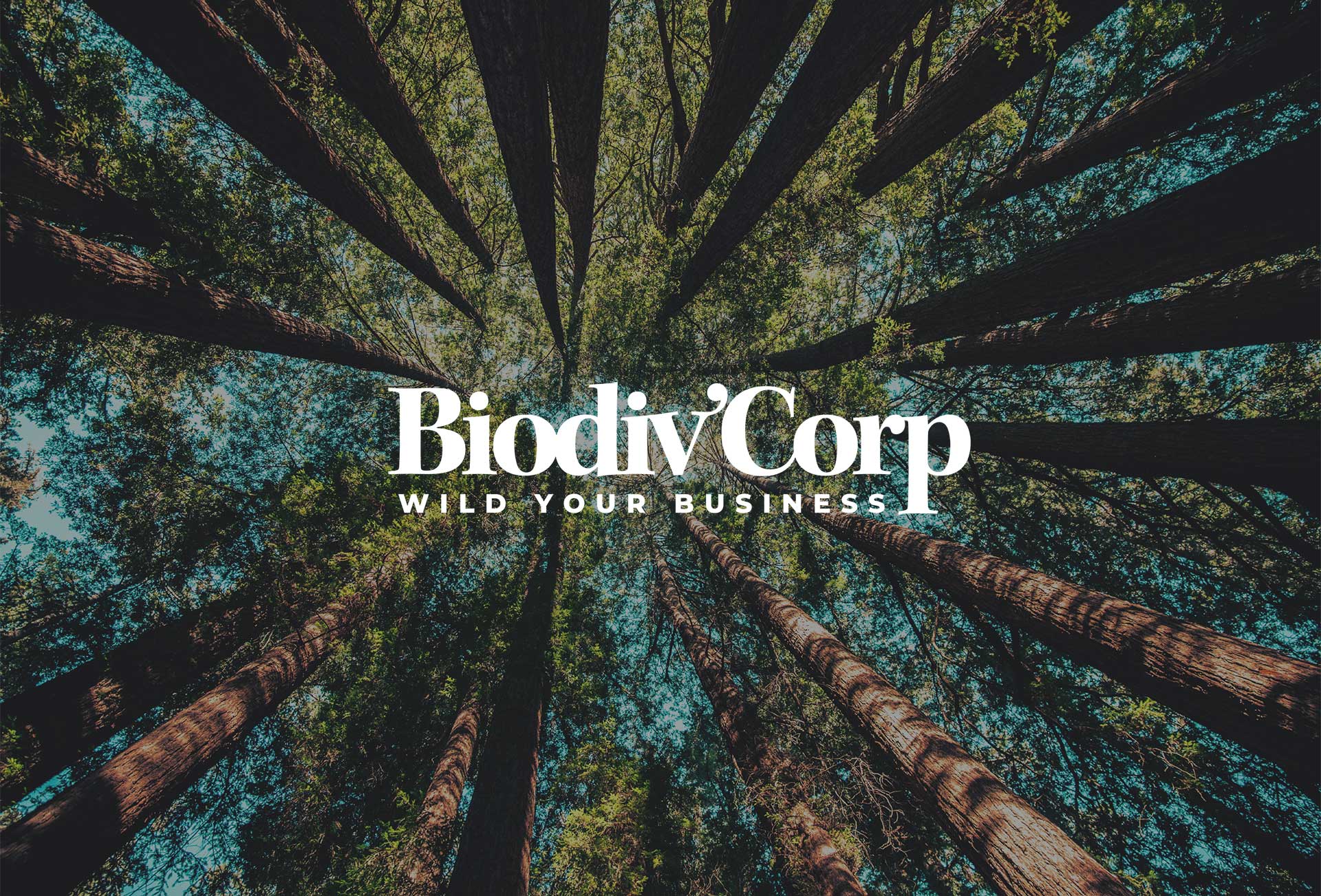 OnePage - Biodiv'Corp